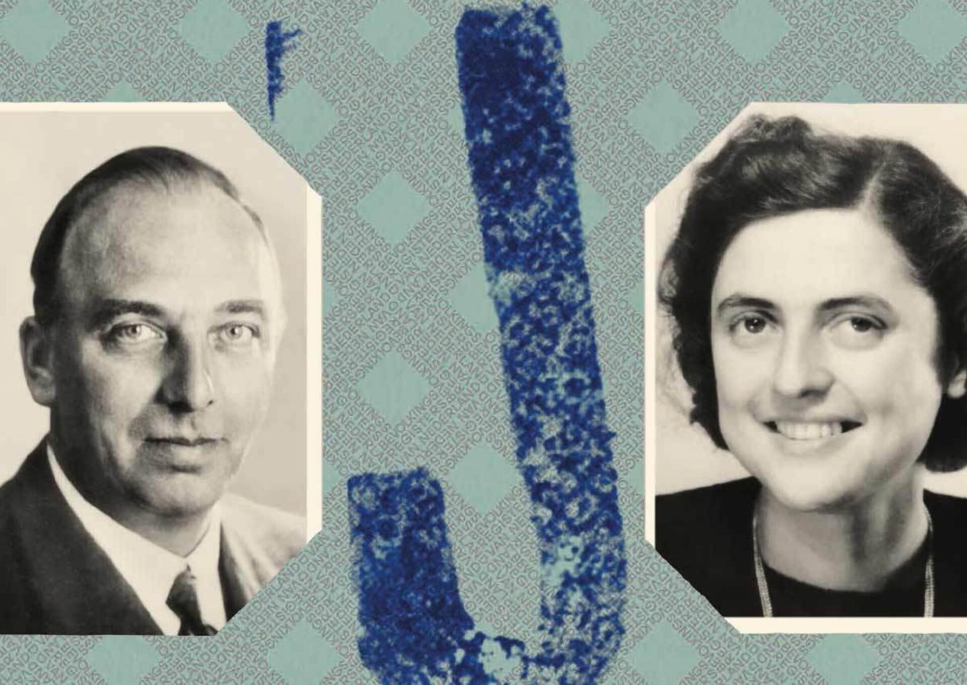 Identity Cards and Forgeries | Jacob Lentz… | Jewish Cultural Quarter